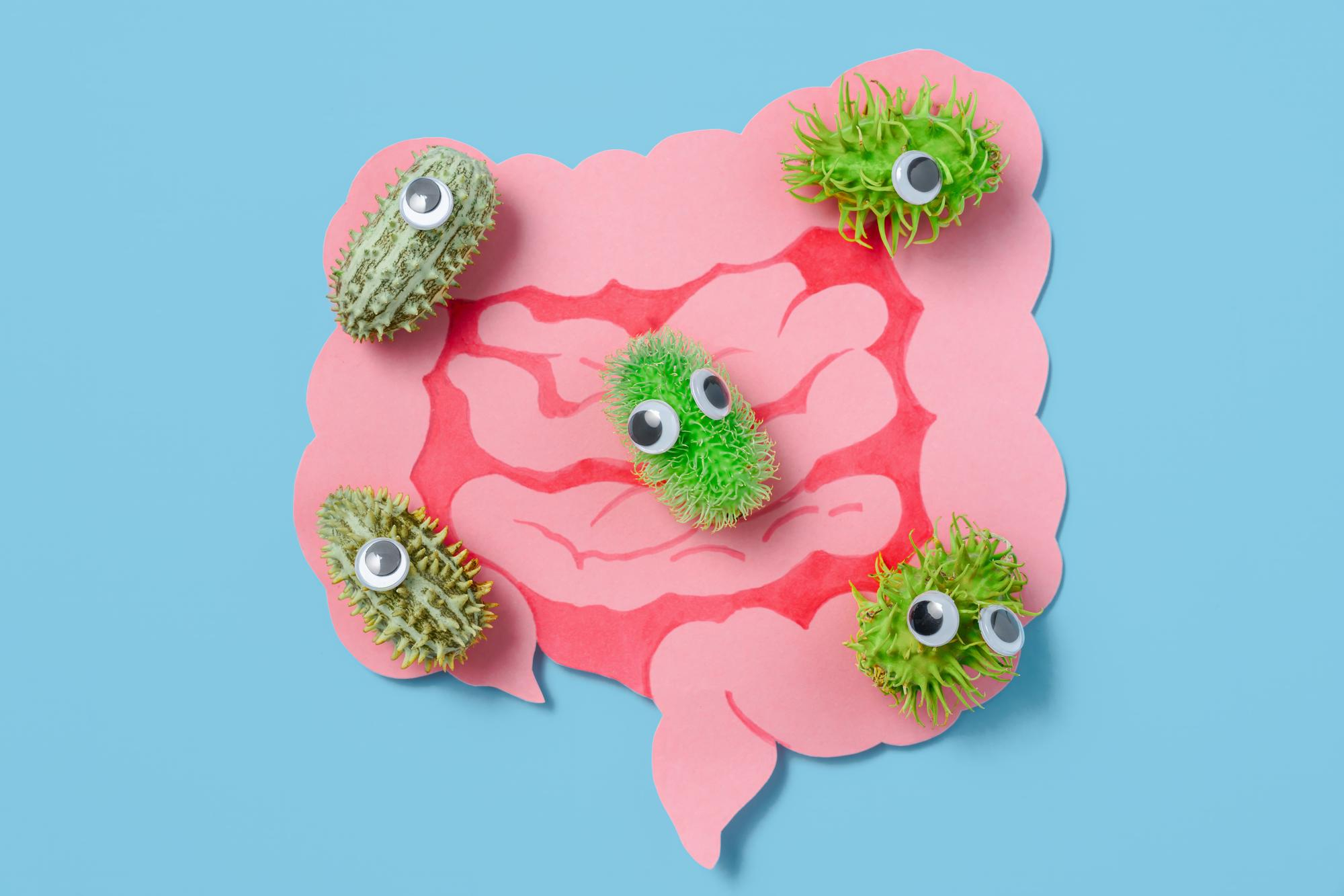 Microbiota intestinal: qué es y cómo influye en la salud - Dr. Ortega ...